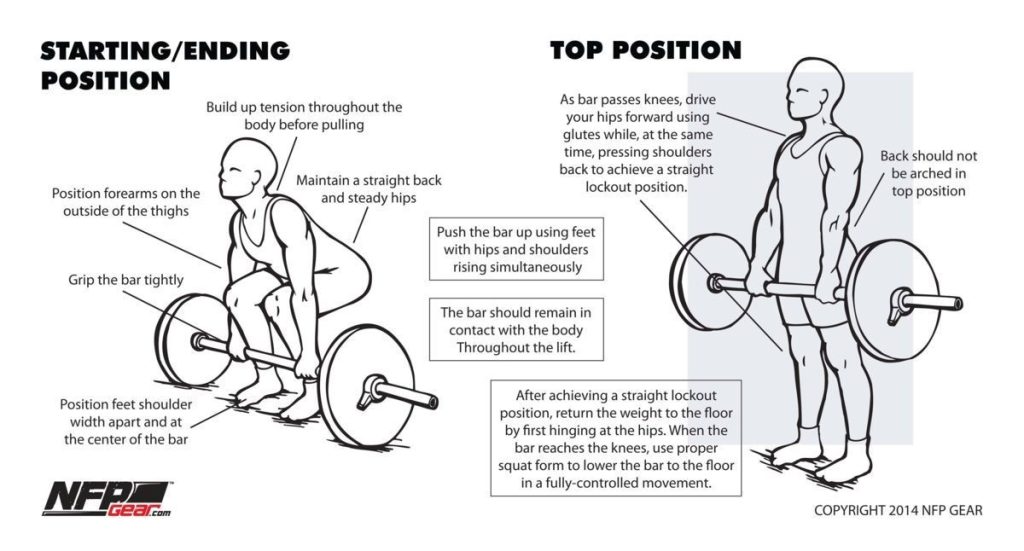 15 Tips for Proper Form and Technique in Strength Training - kawanabe ...